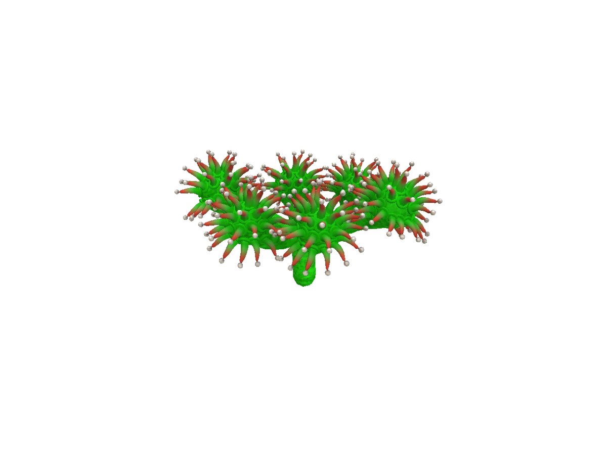 Flora:Drosera rotundifolia | SporeWiki | Fandom