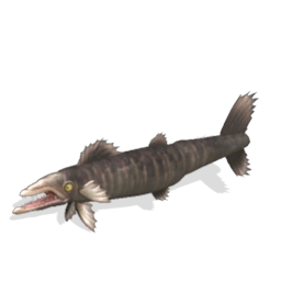 Creature:Needlemouth Fish | SporeWiki | Fandom
