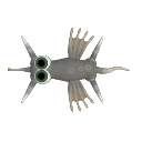 Creature:Pak | SporeWiki | Fandom