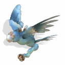 Creature:Dorite's Flyer | SporeWiki | Fandom