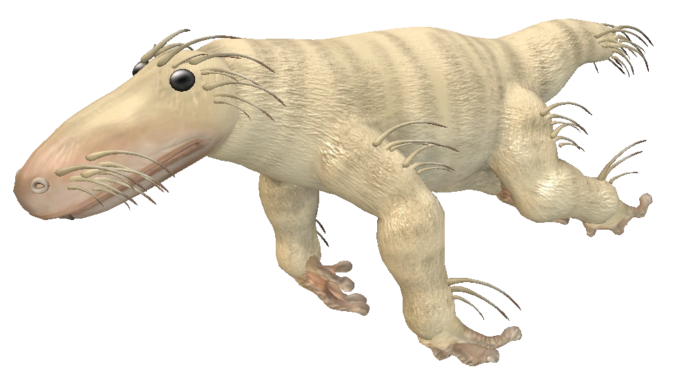 Taxon:Ambulocetidae | SporeWiki | Fandom