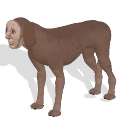 Creature:Human-Faced Dog | SporeWiki | Fandom