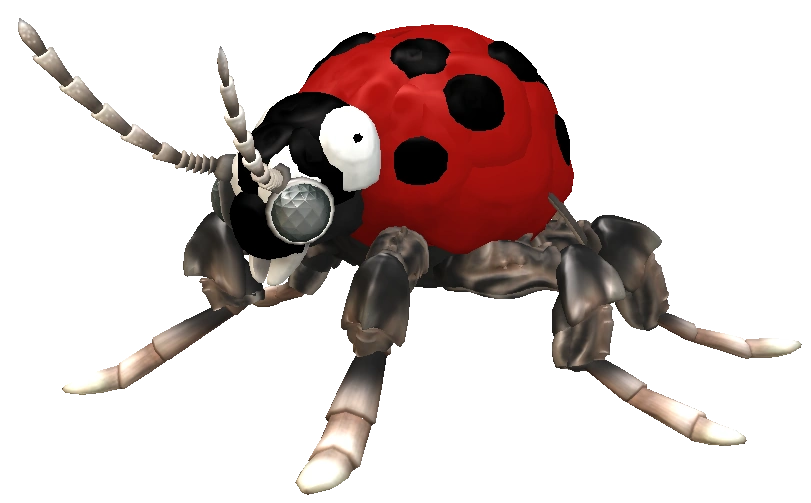 Taxon:Coleoptera | SporeWiki | Fandom