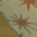 Hazardous Terrain | Spore Creatures Wiki | Fandom