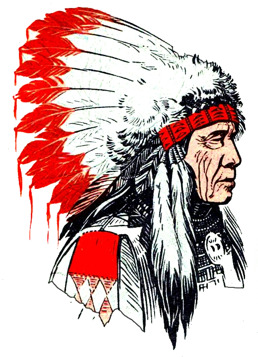 Anderson Packers | Sports Logos Wiki | Fandom