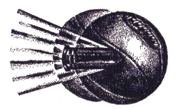 Baltimore Bullets (original) | Sports Teams Wiki | Fandom