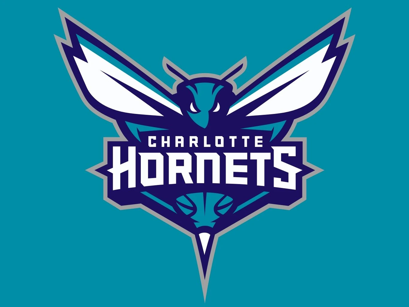 2025-26 CHARLOTTE HORNETS NBA Schedule, Dates, Start Times for Every ...