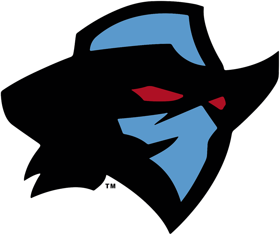 Dallas Renegades | Sports Teams Wiki | Fandom