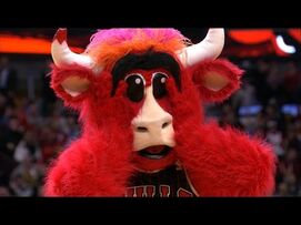 Benny the Bull (Chicago Bulls) | SportsMascots Wikia | Fandom