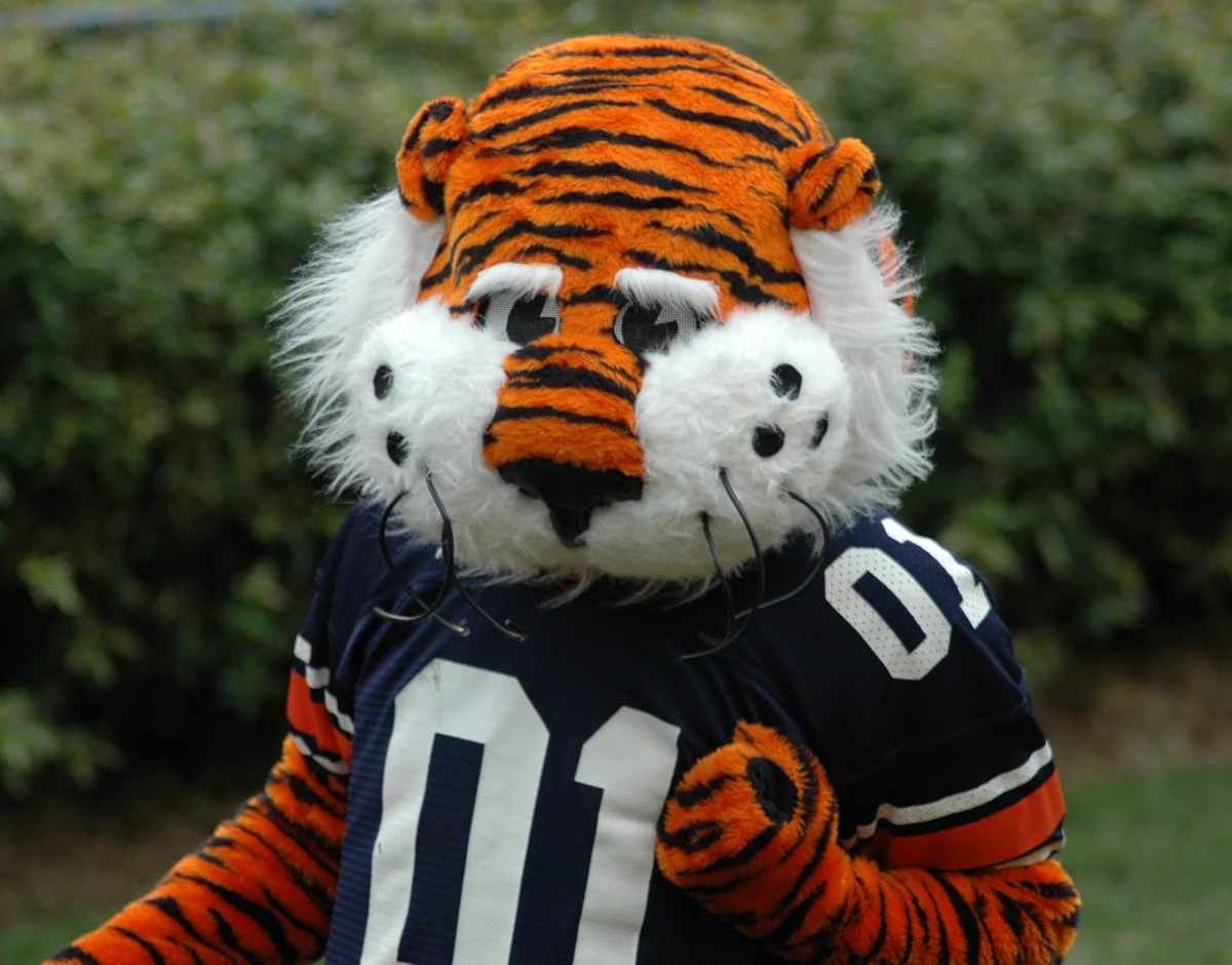 Tiger Mascot College