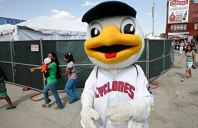 Sandy the Seagull (Brooklyn Cyclones) | SportsMascots Wikia | Fandom