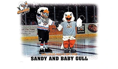 Sandy Gull (San Diego Gulls) | SportsMascots Wikia | Fandom
