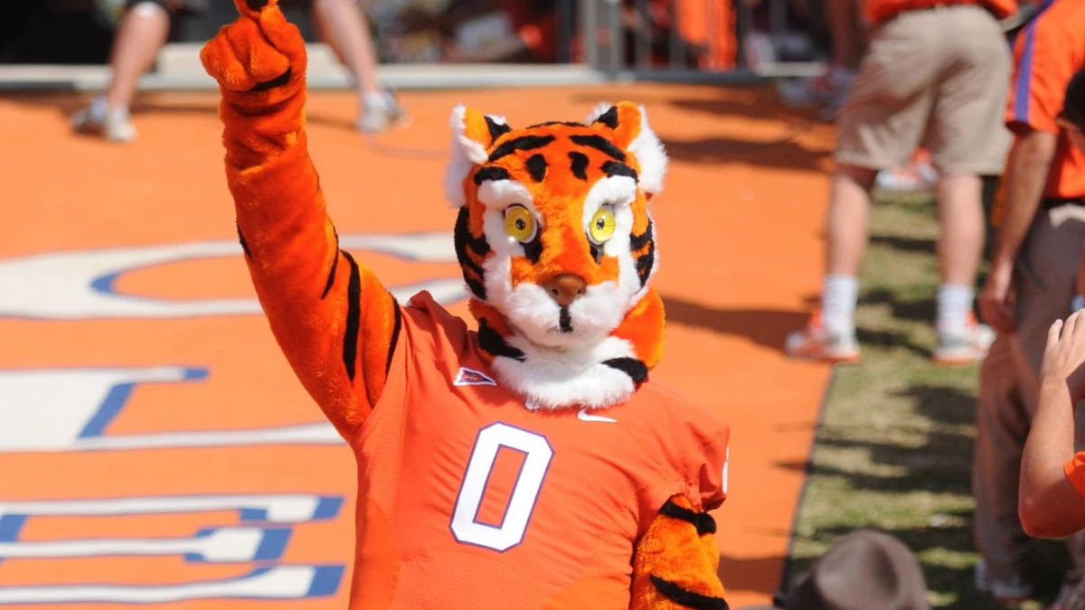 The Tiger (Clemson University) | SportsMascots Wikia | Fandom