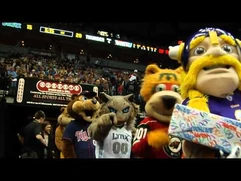 Crunch the Wolf (Minnesota Timberwolves) | SportsMascots Wikia | Fandom
