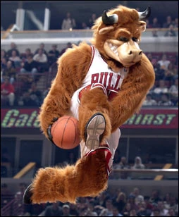 Da Bull (Chicago Bulls) | SportsMascots Wikia | Fandom