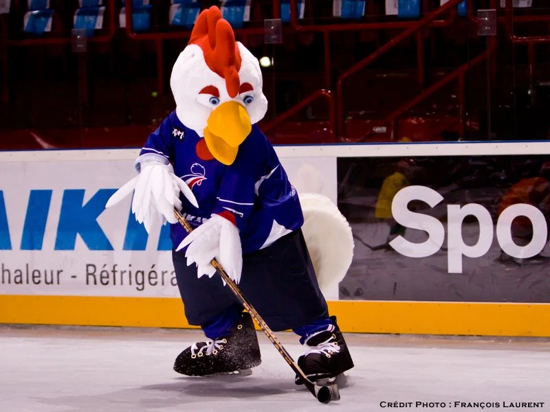 Oscar (France national ice hockey team) | SportsMascots Wikia | Fandom