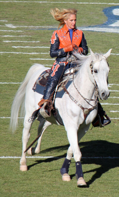 Thunder (Denver Broncos) | SportsMascots Wikia | Fandom