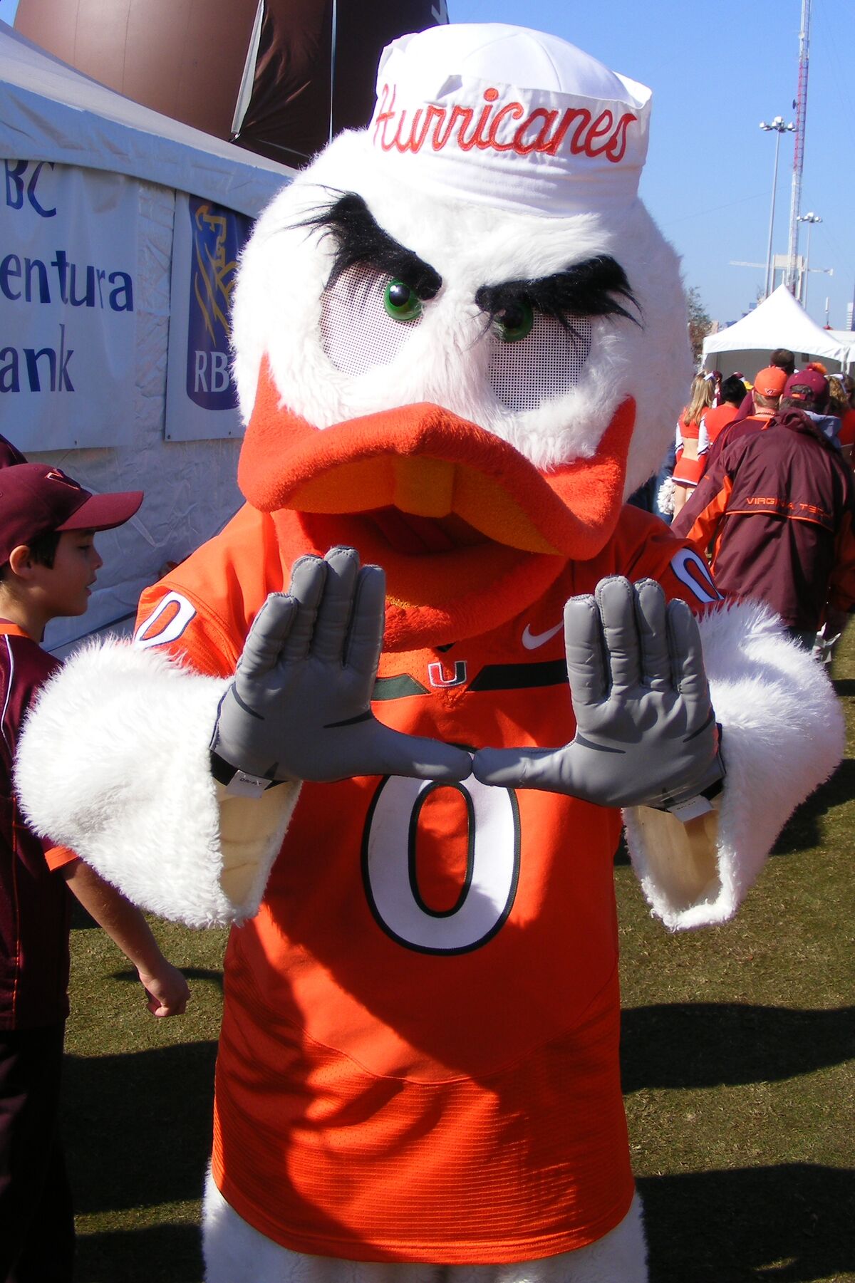 Sebastian the Ibis (University of Miami) | SportsMascots Wikia | Fandom