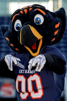 Captain Skyhawk (The University of Tennessee at Martin) | SportsMascots ...
