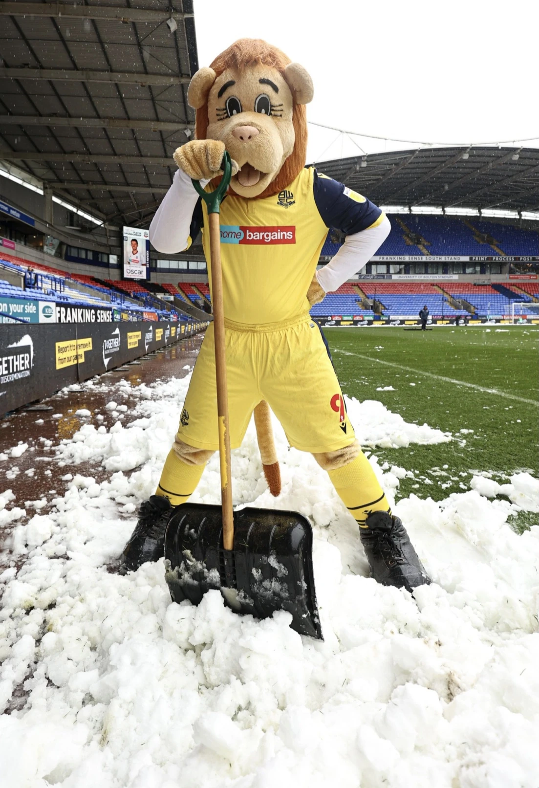 Lofty the Lion (Bolton Wanderers FC) | SportsMascots Wikia | Fandom