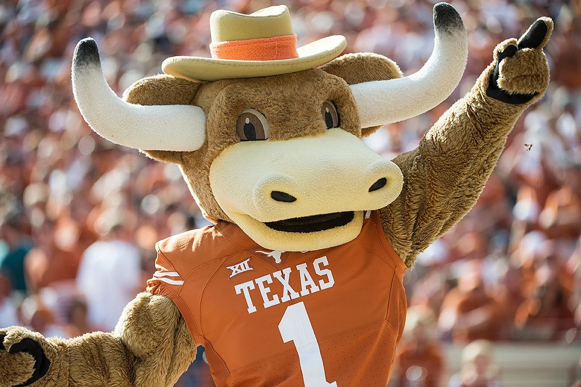Bevo (University of Texas at Austin) | SportsMascots Wikia | Fandom