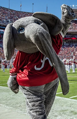 Big Al (University of Alabama) | SportsMascots Wikia | Fandom