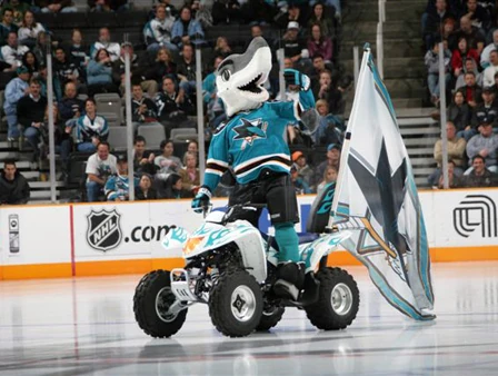 S J Sharkie San Jose Sharks Sportsmascots Wikia Fandom