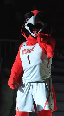 Rowdy the Redhawk (Southeast Missouri State Redhawks) | SportsMascots ...