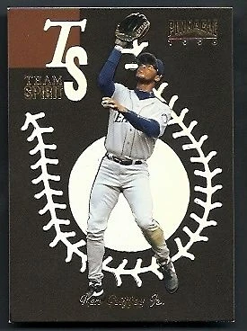 1996 Pinnacle Team Spirit | Baseball Cards Wiki | Fandom