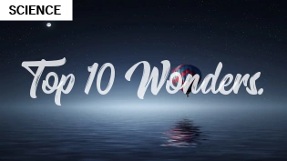 Wikispot Wiki | Fandom