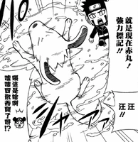 Dynamic Marking/Image Gallery | Rock Lee's Springtime of Youth Wiki ...