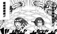 Eight Trigrams Palms Infinite Revolving Heaven/Image Gallery | Rock Lee ...