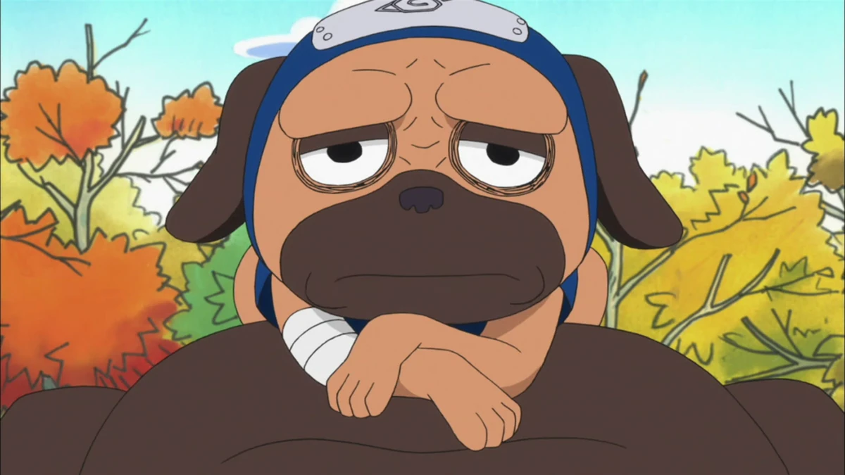 Pakkun | Rock Lee's Springtime of Youth Wiki | Fandom