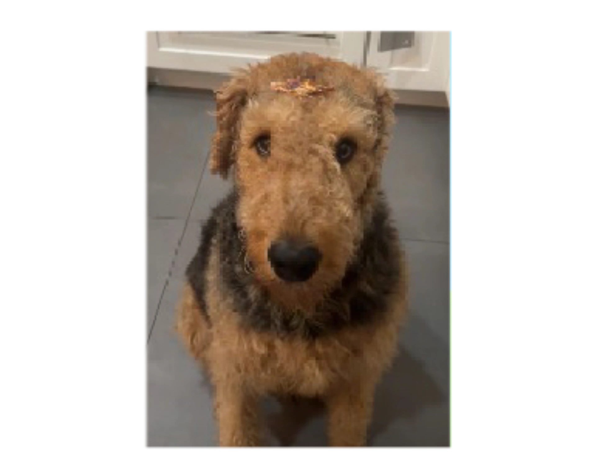 Discuss Everything About Sprunked Wiki | Fandom