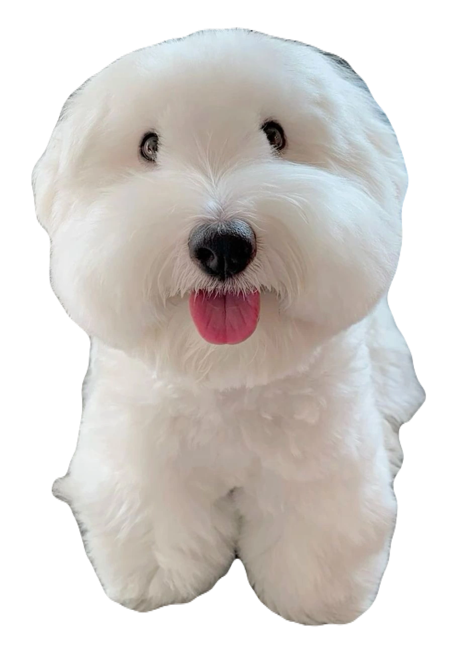 Door | Sprunki Fanon Wiki | Fandom