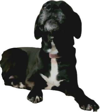 Mina | Sprunki Fanon Wiki | Fandom