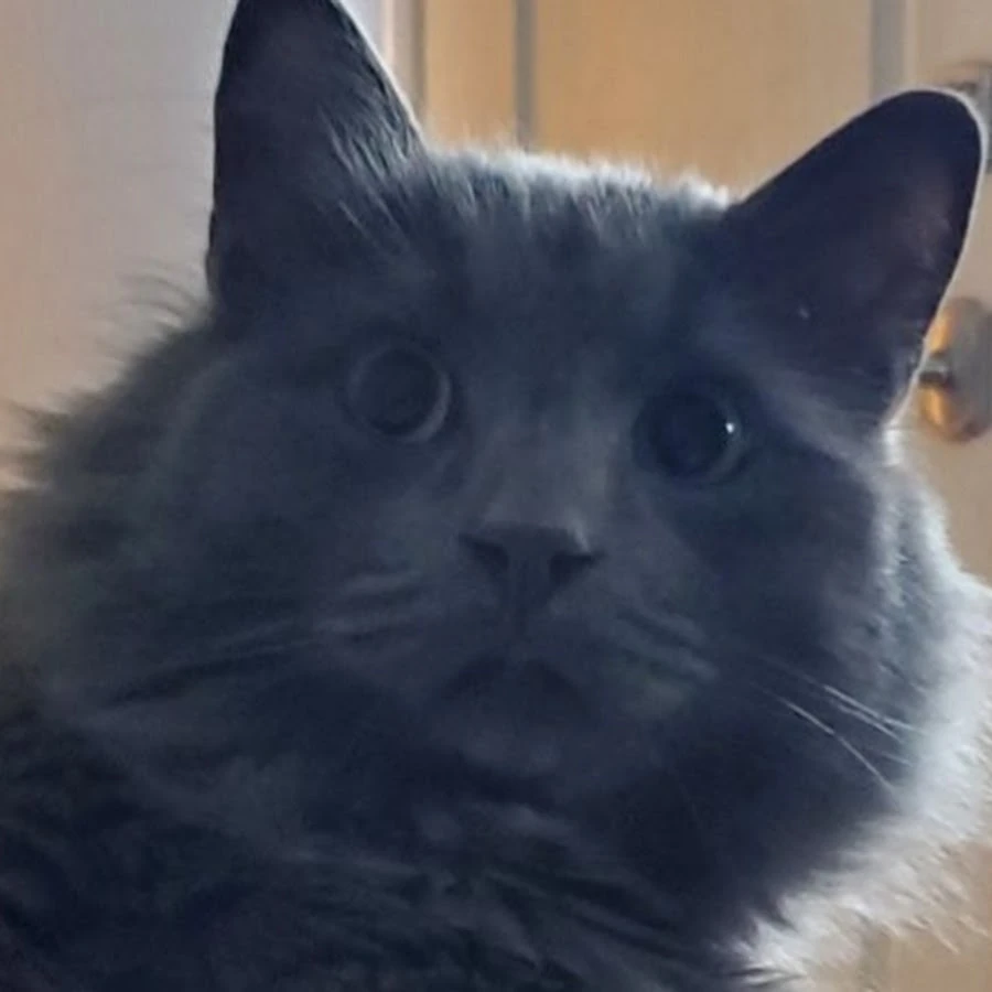 Noonie | Sprunki Fanon Wiki | Fandom