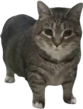 OIIA cat | Sprunki Fanon Wiki | Fandom