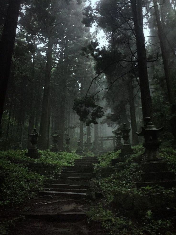 Abandoned forest | Sprunki Fanon Wiki | Fandom