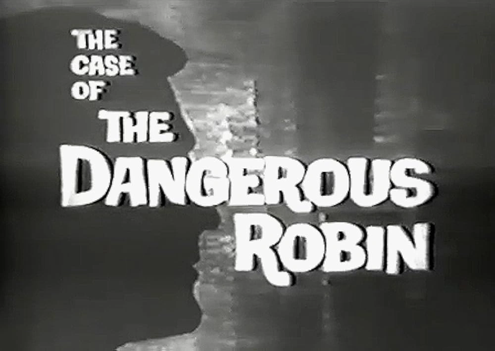 The Case of the Dangerous Robin (Series) | Sandy Point State Park ...