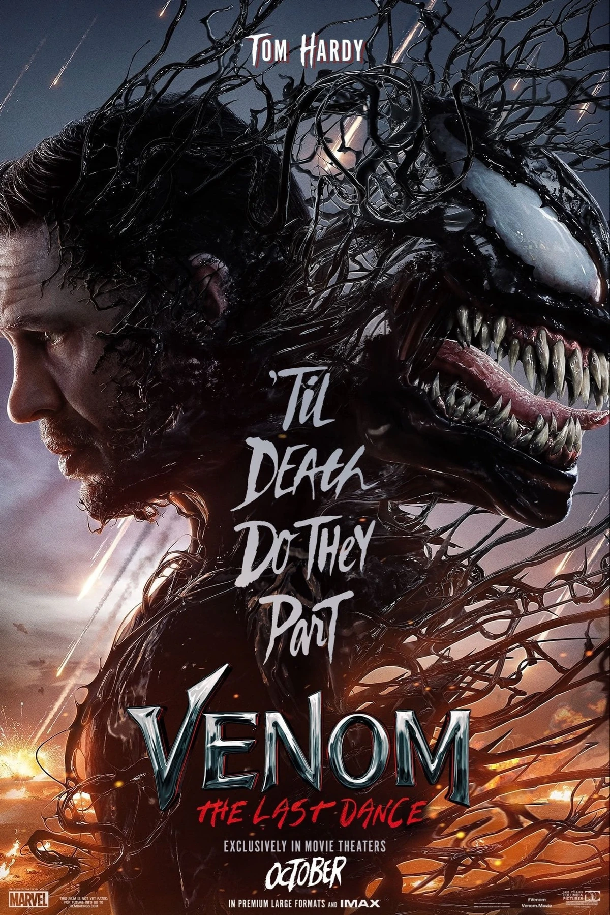 Venom: The Last Dance | SPUMM (Has to Do with Spider-Man, I Think ...