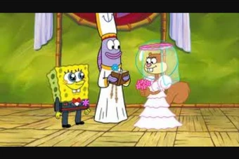 Spužva Bob-Luna odnos | Spužva Bob Skockani community | Fandom