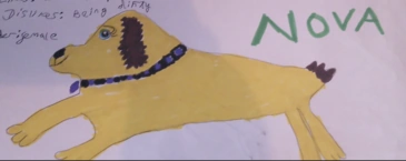 Nova | Spy Dogs Wiki | Fandom