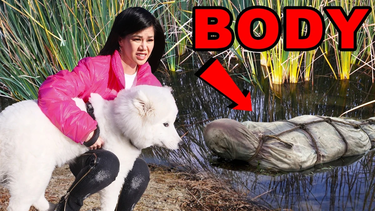 My Dog Found a Body! | Spy Ninjas Reboot Wiki | Fandom