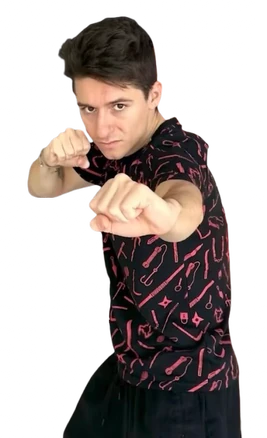 Shinobi | Spy Ninjas Reboot Wiki | Fandom