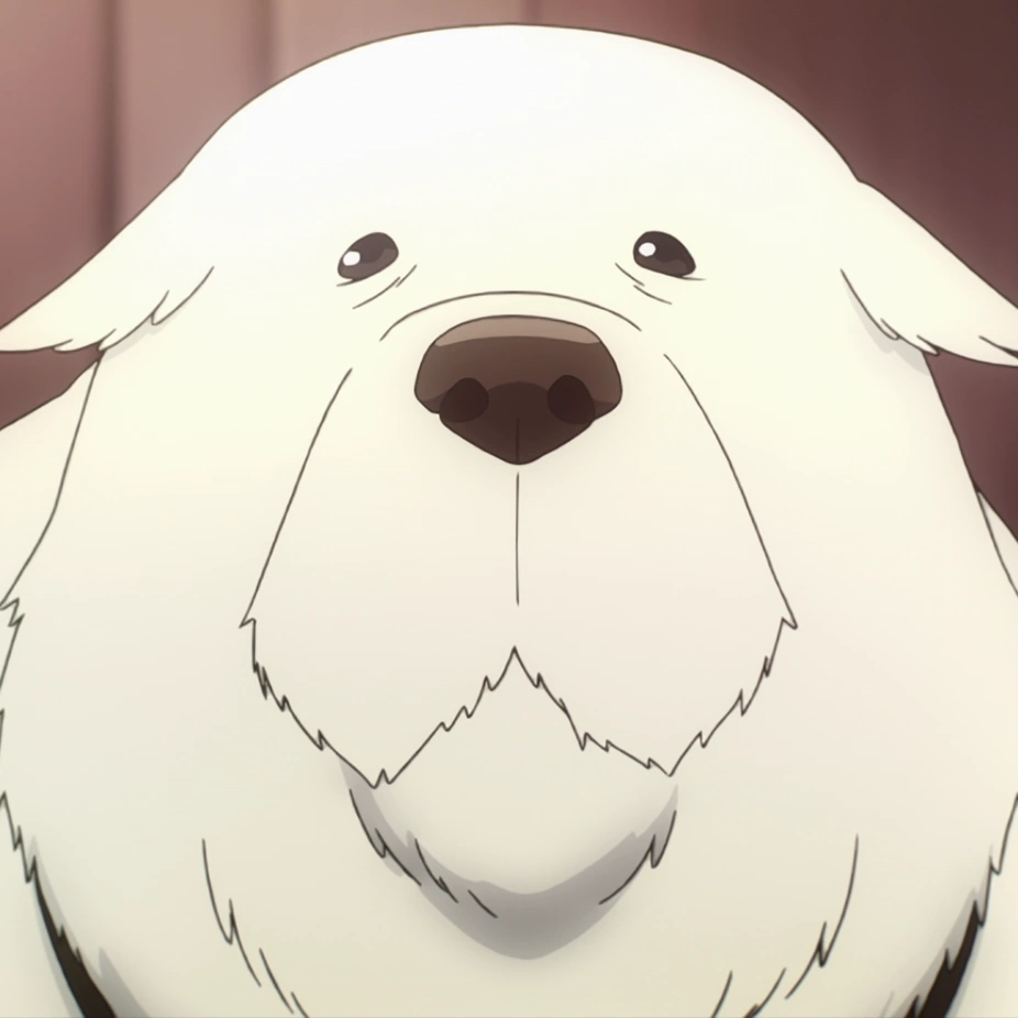 Bond Forger/Image Gallery/Anime | Spy x Family Wiki | Fandom