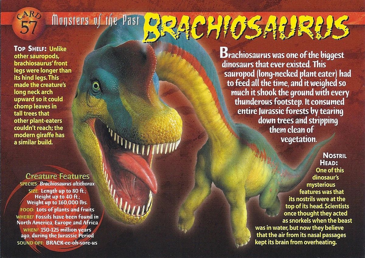 Brachiosaurus | Spyro And Friends Adventures Wiki | Fandom