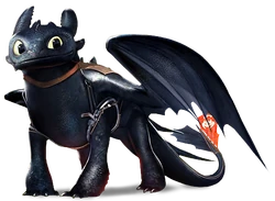Toothless | Spyro And Friends Adventures Wiki | Fandom