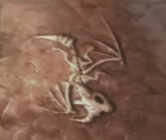 Spyro (Skylanders) | Spyro Wiki | Fandom