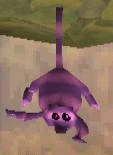 Striped Monkeys | Spyro Wiki | Fandom